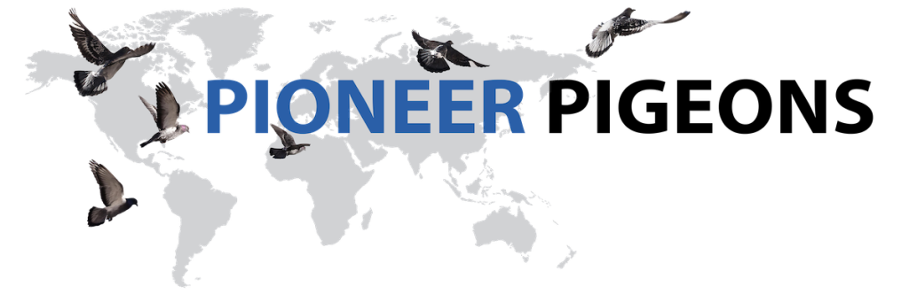 Pioneer Pigeons will be at the Blackpool Pigeon Show in 2026