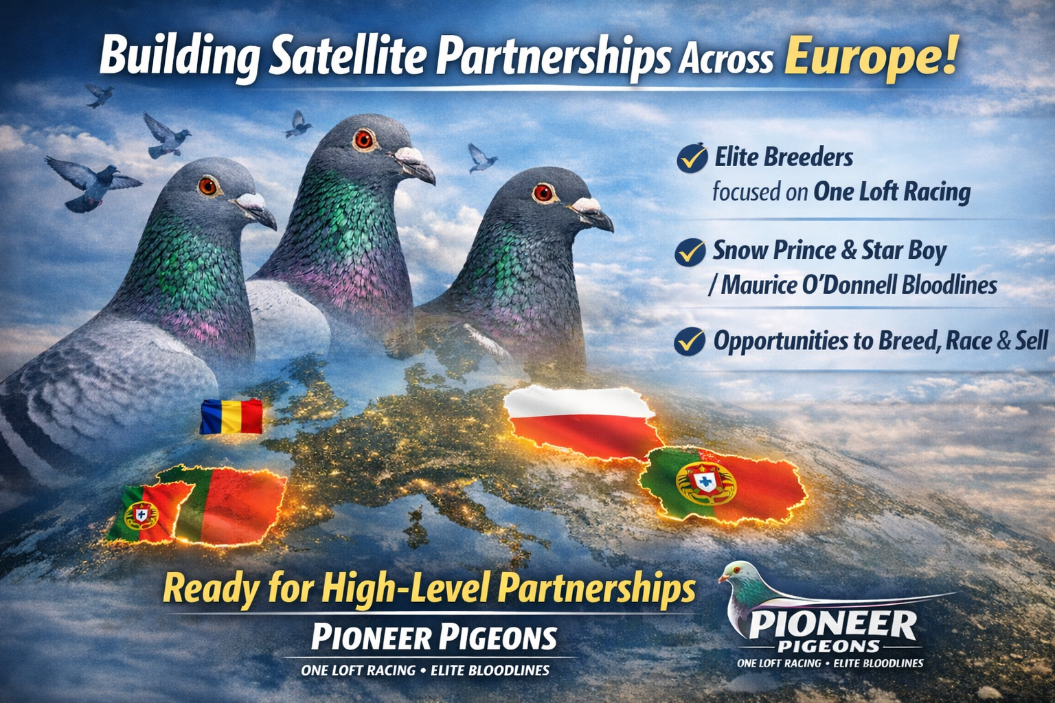 Pioneer Pigeons: Building Satellite Racing & Breeding Partnerships ...